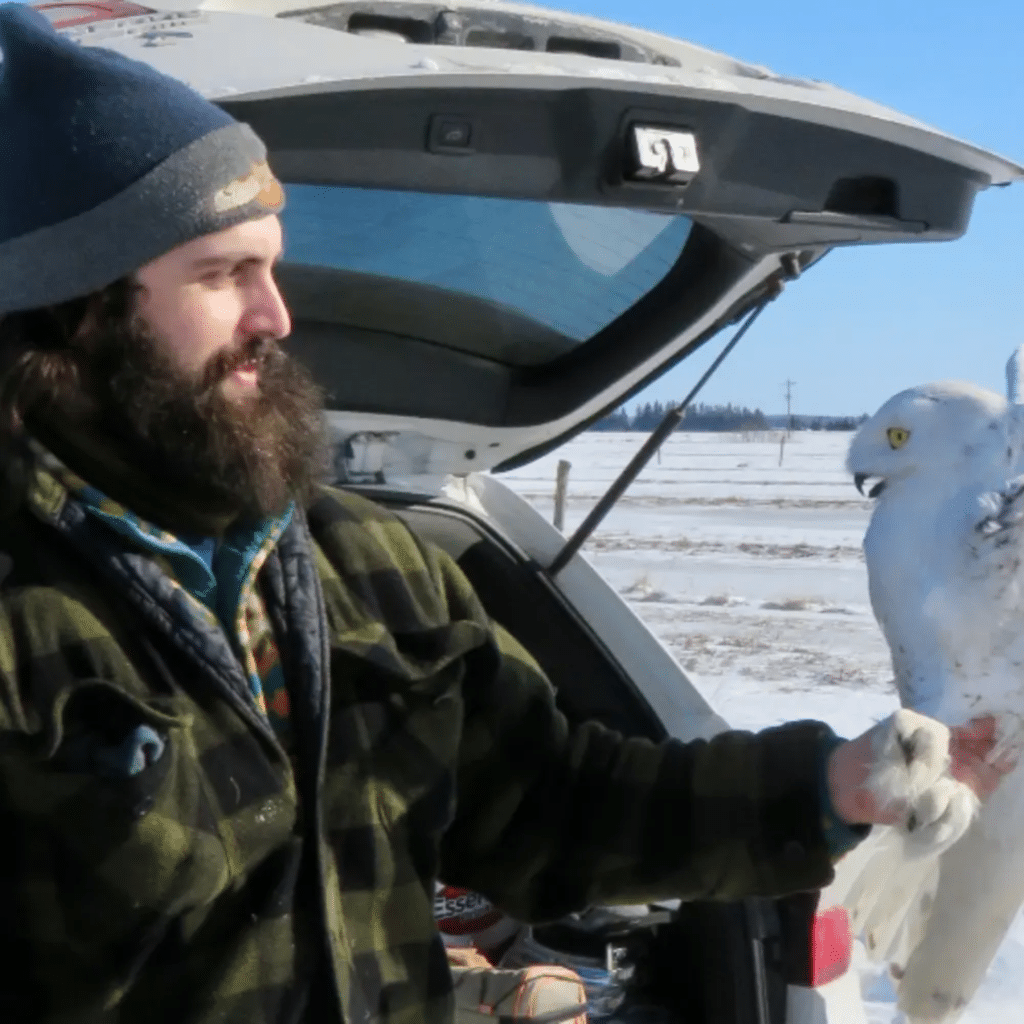 Seasonal Contractors - Mackinac Straits Raptor Watch