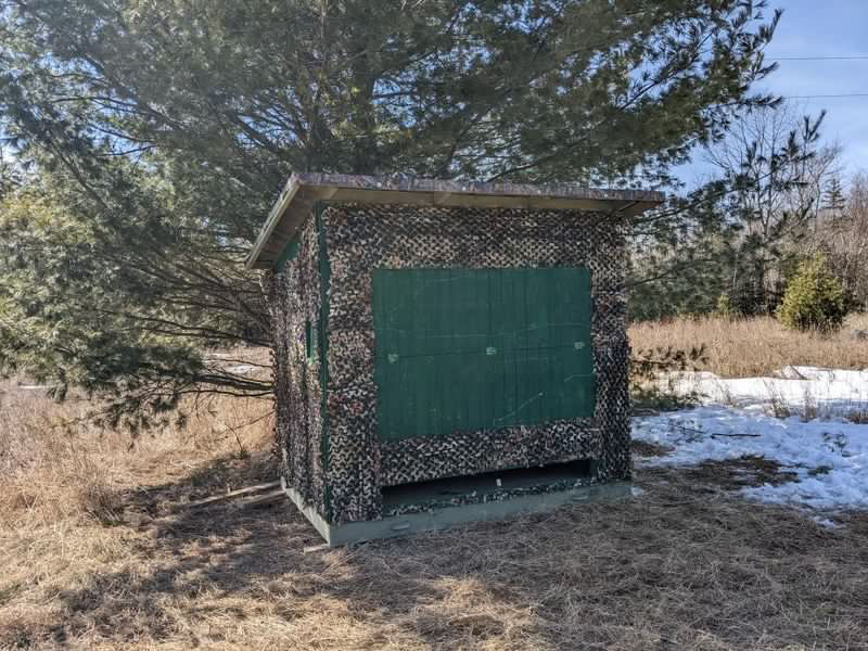 Raptor Banding: Week 1 - Mackinac Straits Raptor Watch
