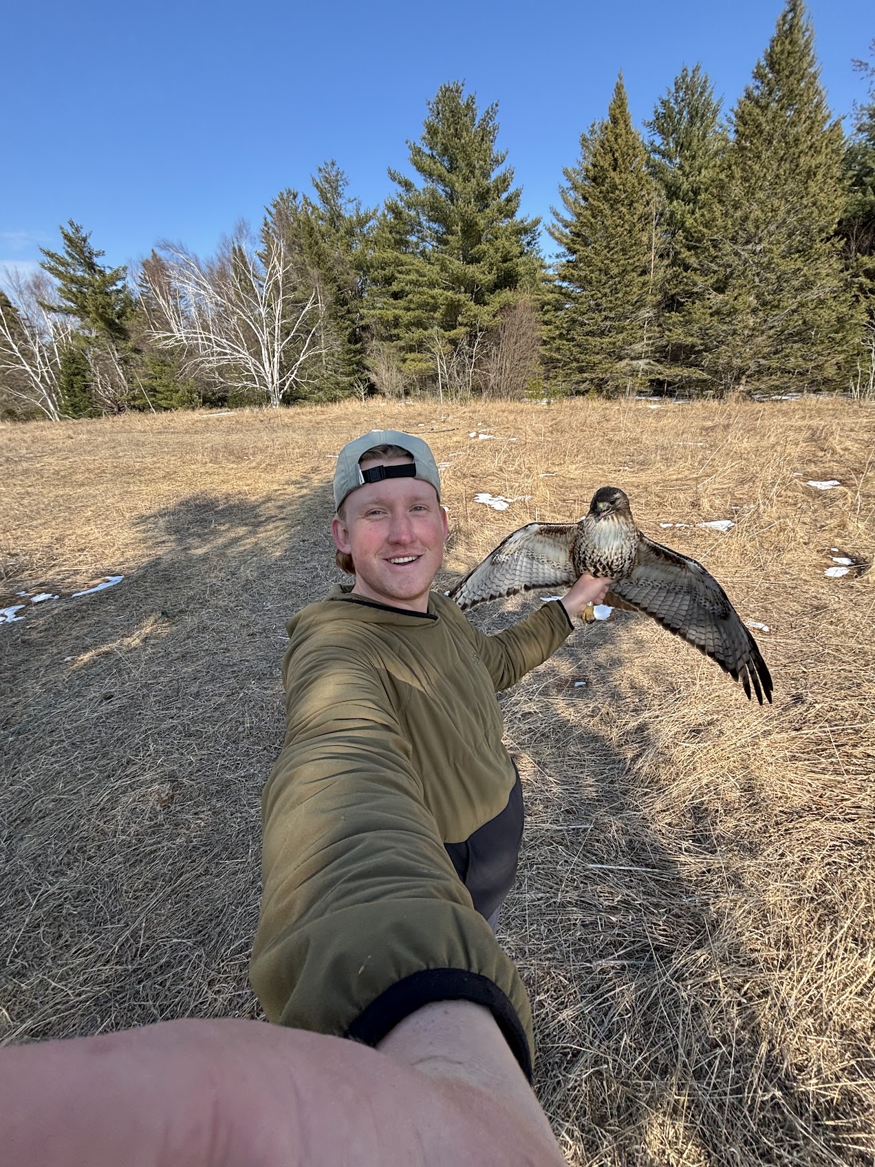 Tails of the Blind - Raptor Migration Banding Season Update - Mackinac ...