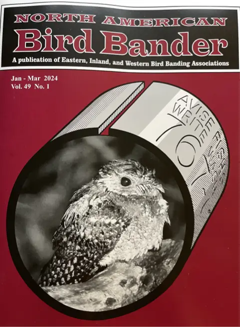 Predation of a Barred Owl by another Barred Owl - Mackinac Straits ...